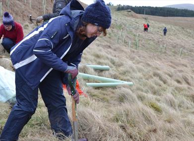 Wild Work Days with Cumbria Wildlife Trust - Visit Lake District