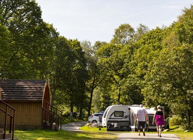 Coniston Park Coppice Site - Camping Pods - Coniston - Visit Lake District