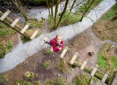 Go Ape Grizedale - Hawkshead - Visit Lake District