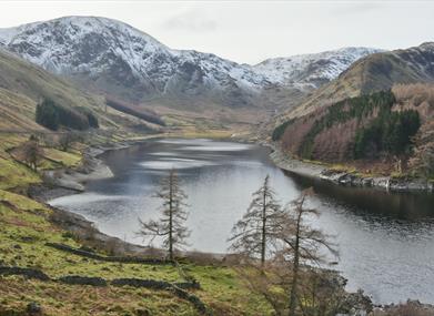RSPB Badger Watching Hide at Wild Haweswater - Penrith - Visit Lake ...