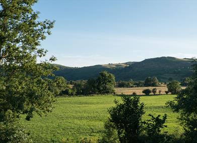 Moss Howe Farm Campsite - Witherslack - Visit Lake District