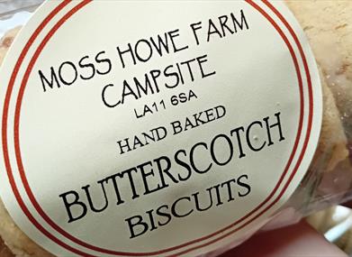 Moss Howe Farm Campsite - Witherslack - Visit Lake District