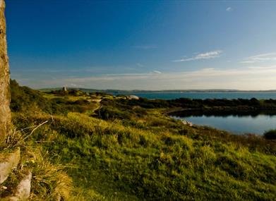 Hodbarrow Nature Reserve - Millom - Visit Lake District