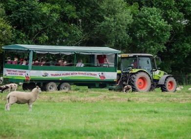 Walby Farm Park - Carlisle - Visit Lake District