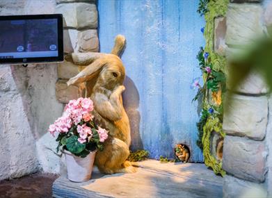 The World of Beatrix Potter Attraction - Bowness-on-Windermere - Visit ...