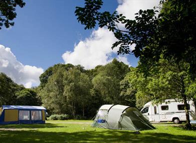 Coniston Park Coppice Site - Tent Camping - Coniston - Visit Lake District