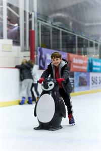 Ice Arena @ Deeside Leisure Centre - Go North Wales