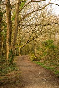 Penrhos Coastal Path - Go North Wales