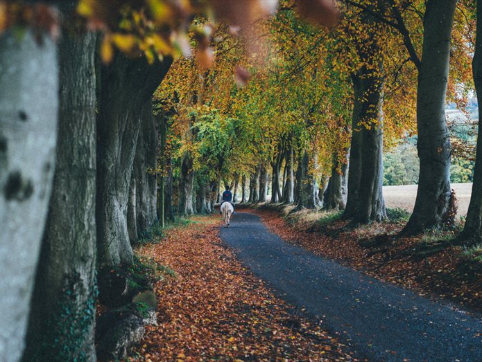 Things to do in Hampshire | Official Tourism Site