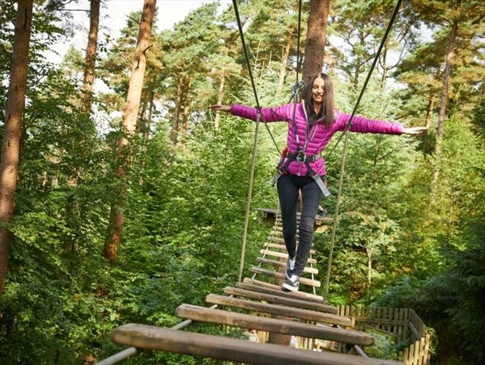 Things to do in Hampshire | Official Tourism Site