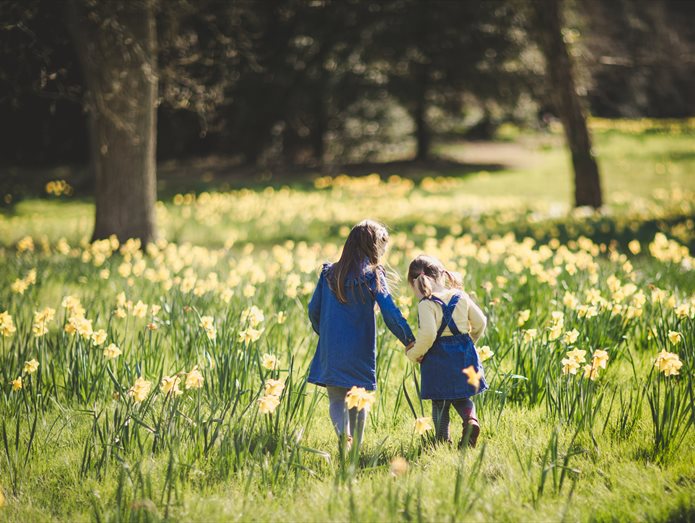 Things to do in Hampshire | Official Tourism Site