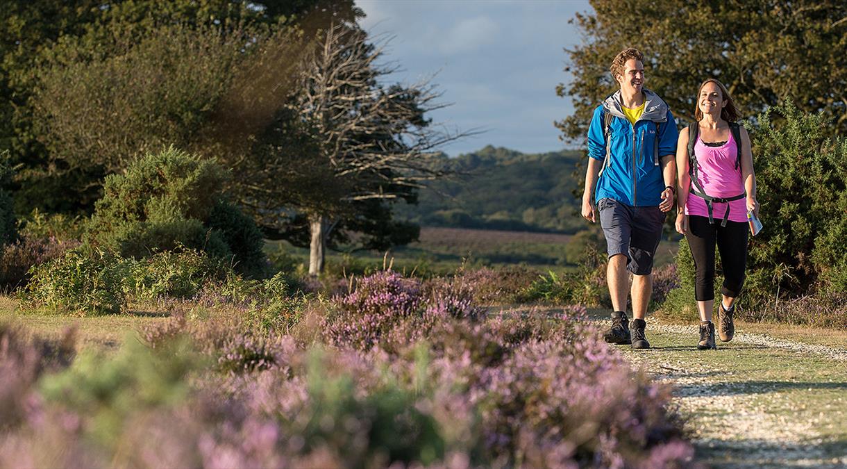 Things To Do in Hampshire - Visit-Hampshire.co.uk