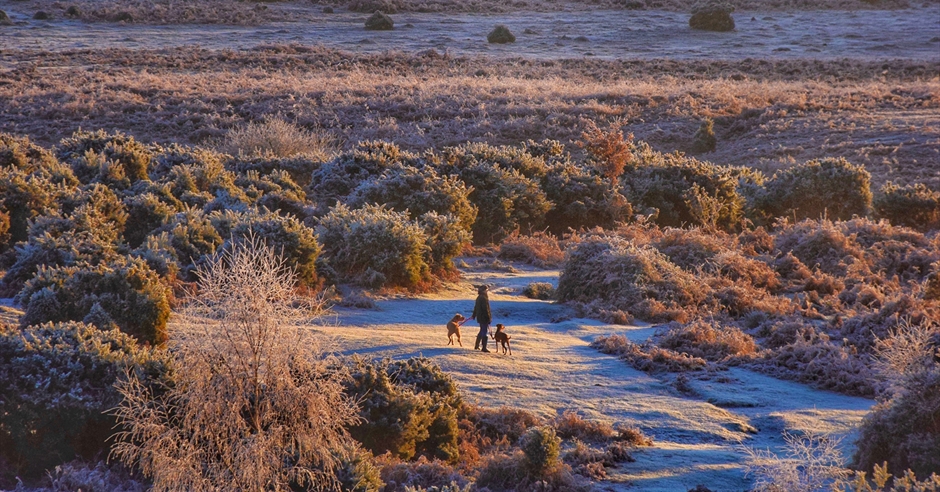 Winter Photography Competition Winners 2022 - Visit Hampshire