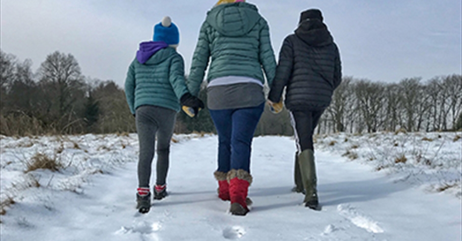 Christmas Walks in Hampshire - The Twelve Walks of Christmas