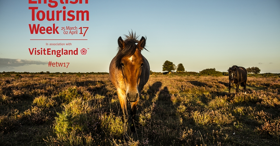 English Tourism Week 2017 - Visit Hampshire