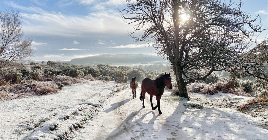 Winter Photography Competition 2021 - Visit Hampshire