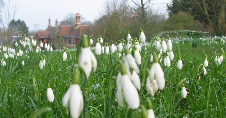 Snowdrop Weekend at Gilbert White's House and Gardens - Visit Hampshire