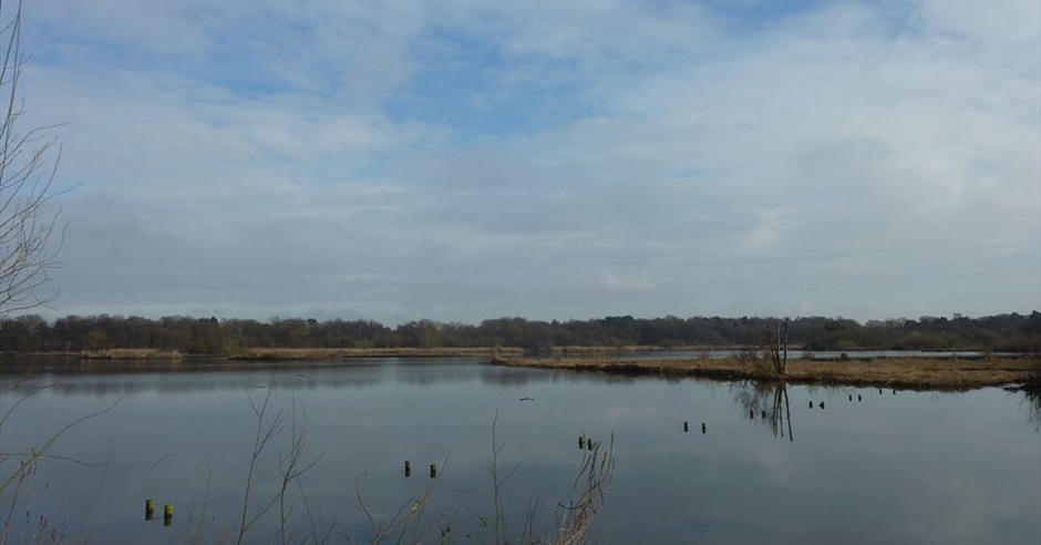 Fleet Pond - Visit Hampshire