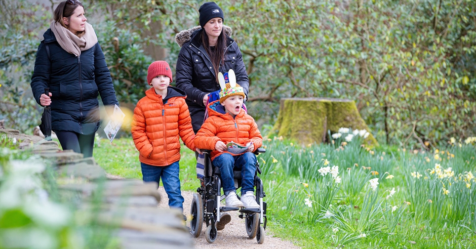 Tree-mendous Tree Trail at Hinton Ampner House and Garden - Visit Hampshire