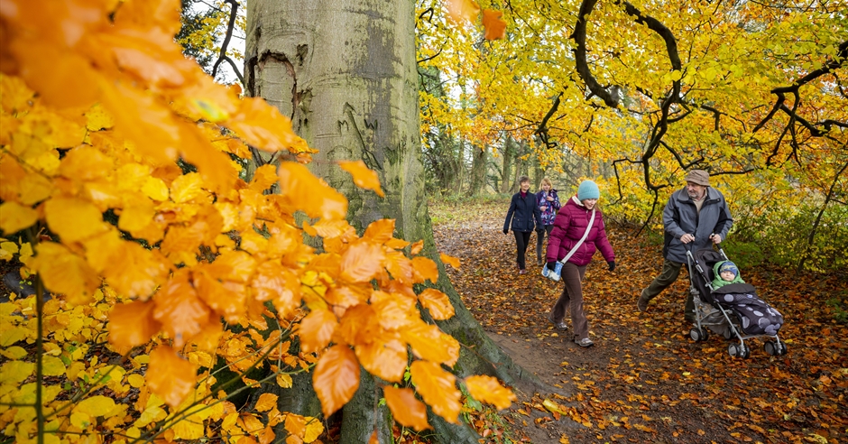 Autumn colour trail at The Vyne - Visit Hampshire