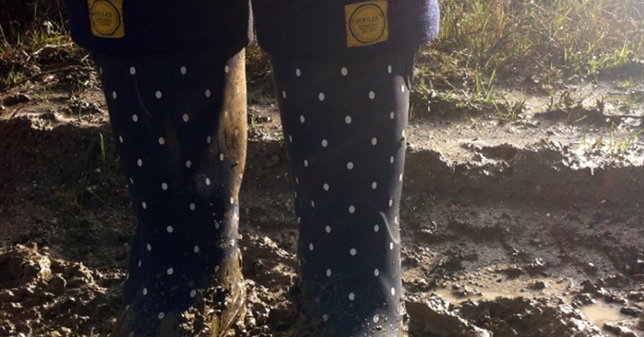 Sensory Welly Walk - Visit Hampshire