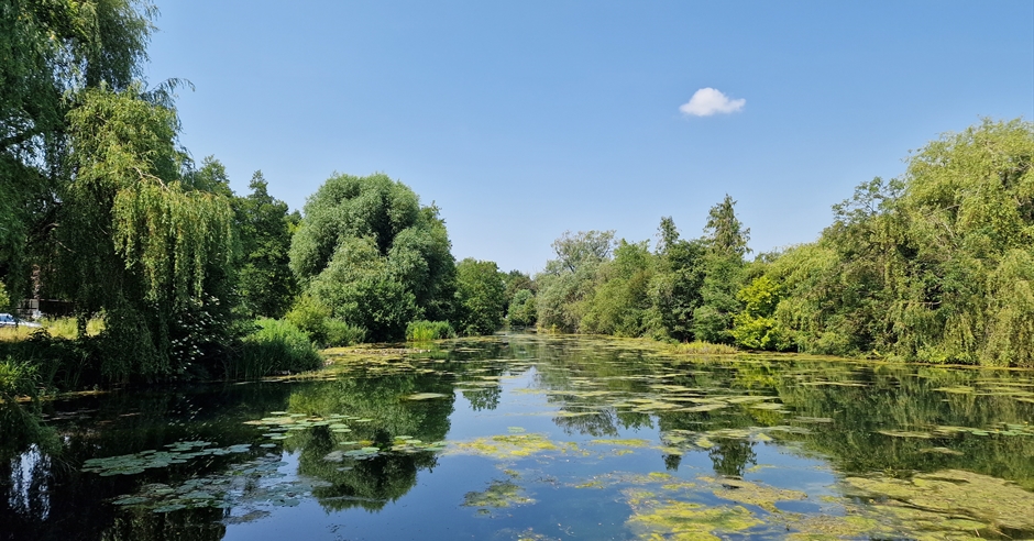 Charlton Lakes Walk - Visit Hampshire