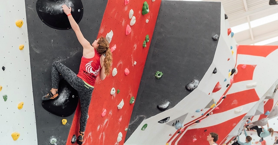 Red Spider Climbing - Visit Hampshire