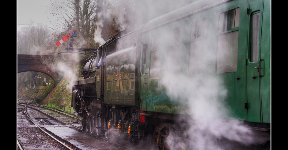 Dene Rally at Startergate Farm - Visit Hampshire