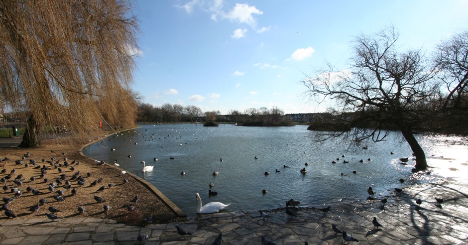 Baffins Pond - Visit Hampshire