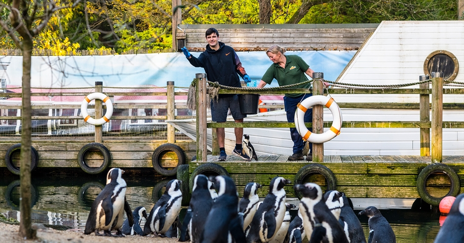 Birdworld - Visit Hampshire