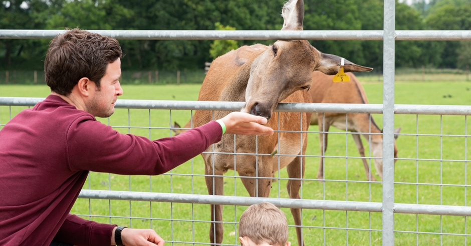 Sky Park Farm Anniversary Celebration - Visit Hampshire