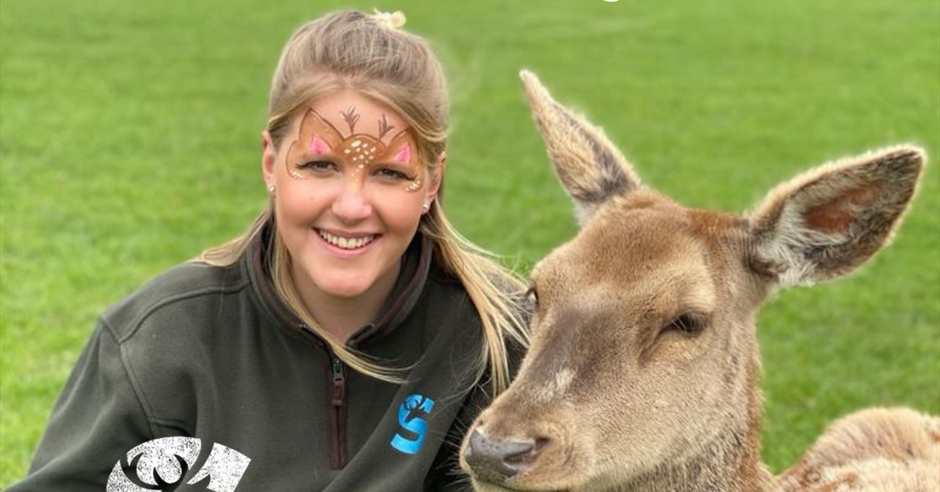 First Birthday Celebrations at Sky Park Farm - Visit Hampshire