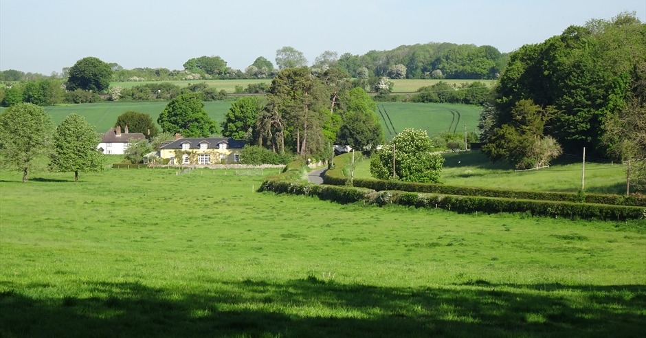 Jane Austen's Country Fair - Visit Hampshire