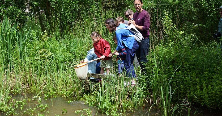 Pond Dipping - Visit Hampshire
