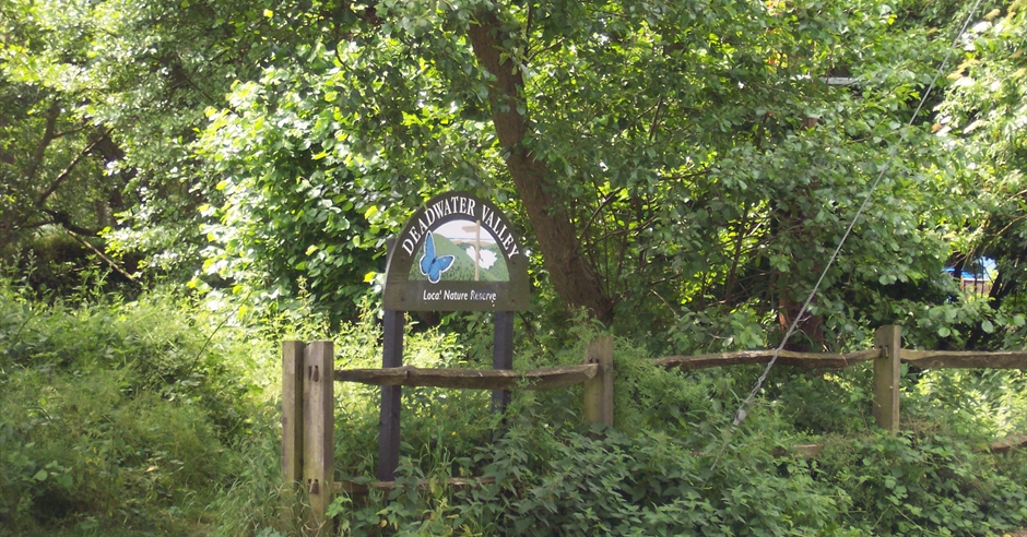 Deadwater Valley Events - Visit Hampshire