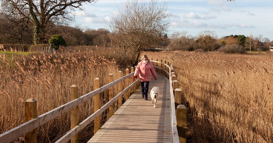 Eling Tide Mill Experience - Visit Hampshire