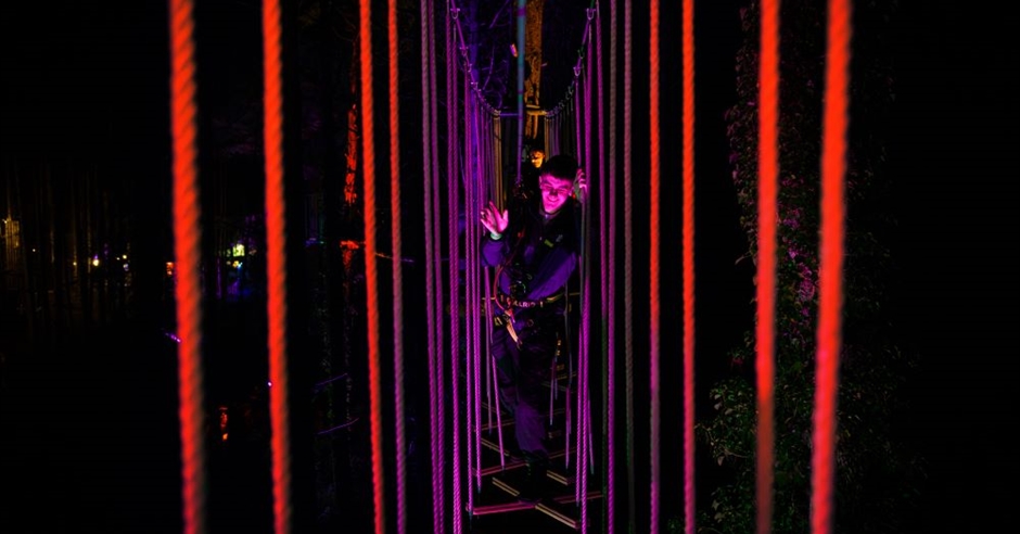 Go Ape x Sundown Adventures at Go Ape Southampton - Visit Hampshire
