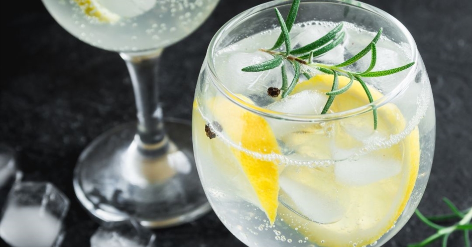 Gin in the Gallery at Petersfield Museum and Art Gallery - Visit Hampshire