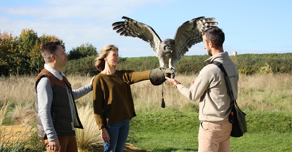 Hawk Conservancy Trust - Visit Hampshire