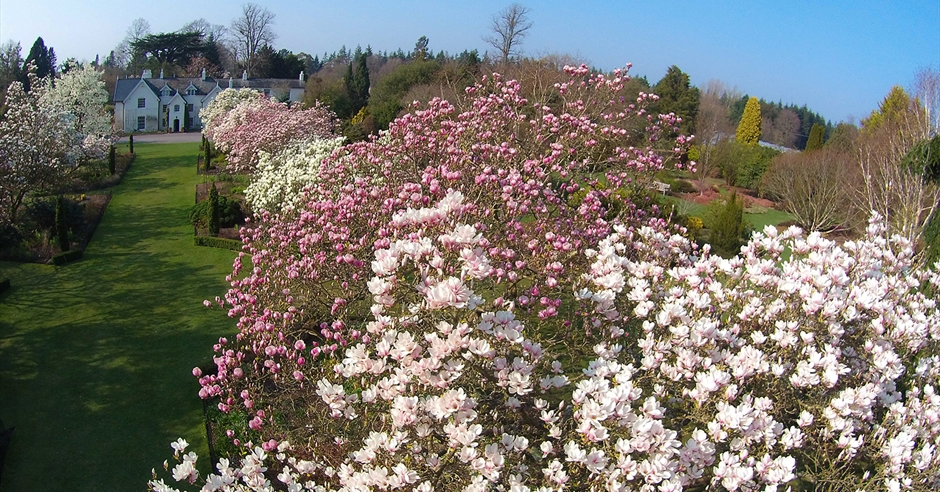 Sir Harold Hillier Gardens - Visit Hampshire
