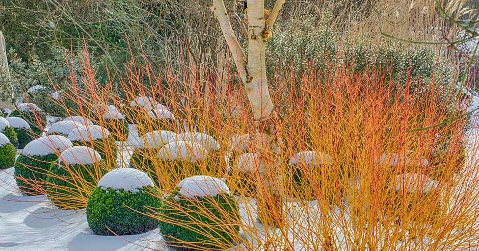 Sir Harold Hillier Gardens - Visit Hampshire