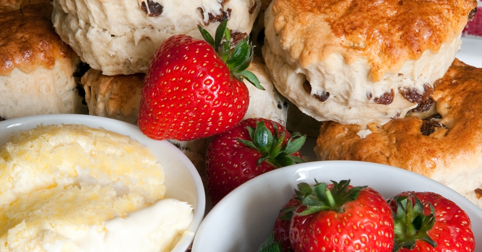 Pimms and Cream Tea at Sir Harold Hillier Gardens - Visit Hampshire