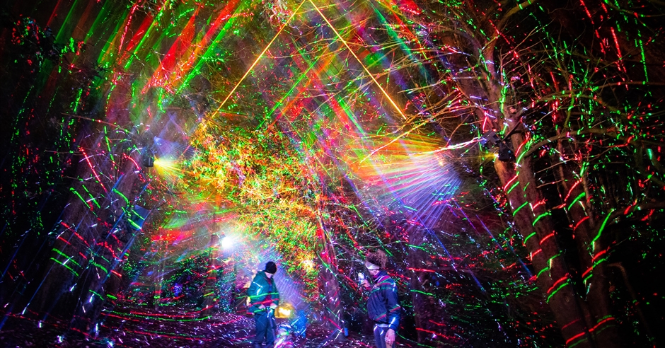 Light Up Sir Harold Hillier Gardens at Christmas - Visit Hampshire