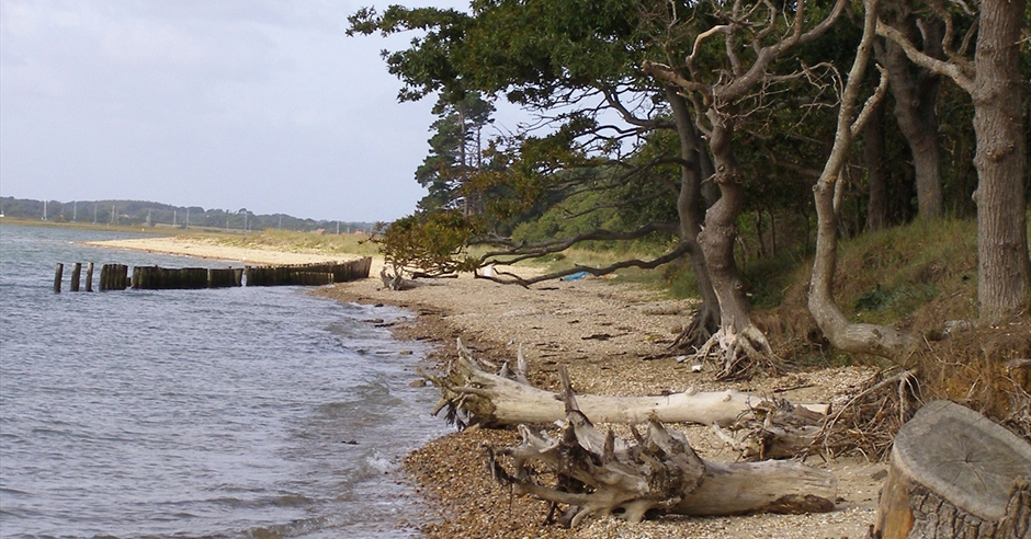 Lepe Loop Guided Walk at Lepe Country Park - Visit Hampshire