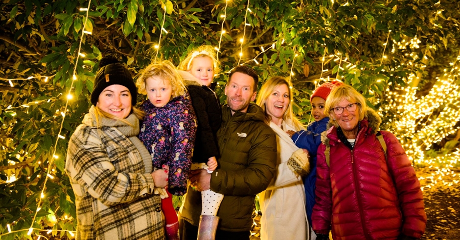 Light Up Sir Harold Hillier Gardens at Christmas - Visit Hampshire