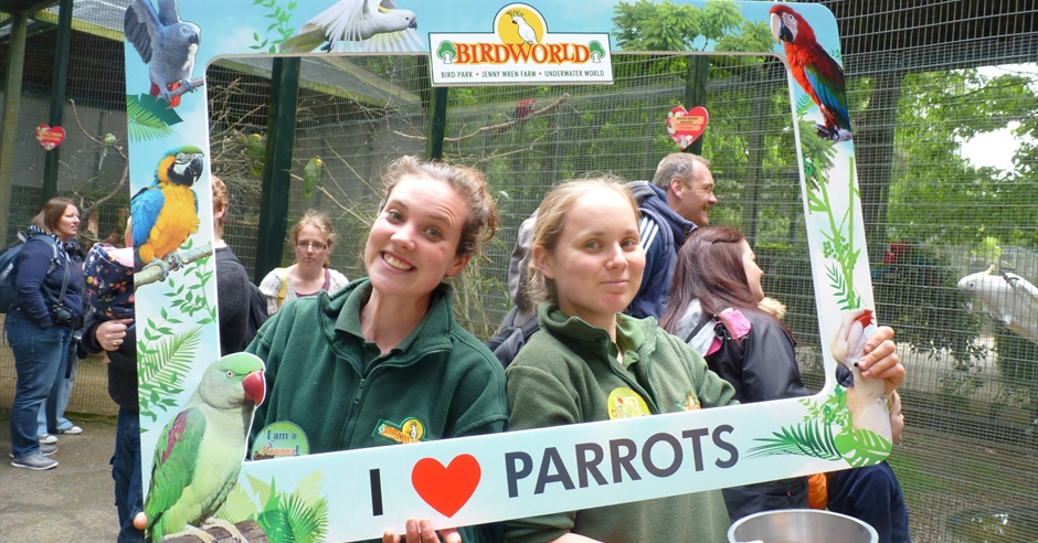 Love Your Zoo Week at Birdworld - Visit Hampshire