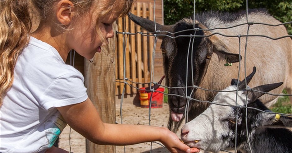 Manor Farm - Visit Hampshire