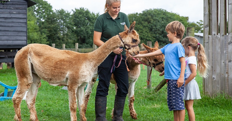 Manor Farm - Visit Hampshire