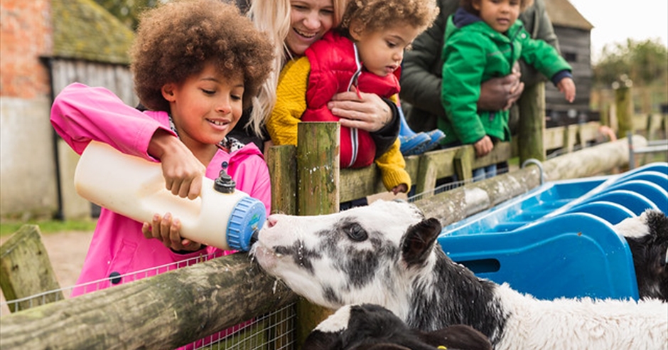Manor Farm - Visit Hampshire