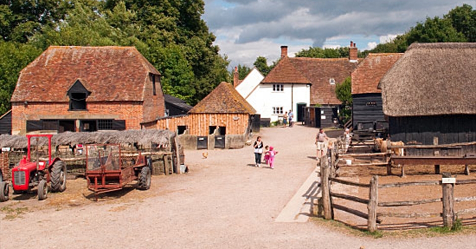 The Big Pig Weekend at Manor Farm - Visit Hampshire